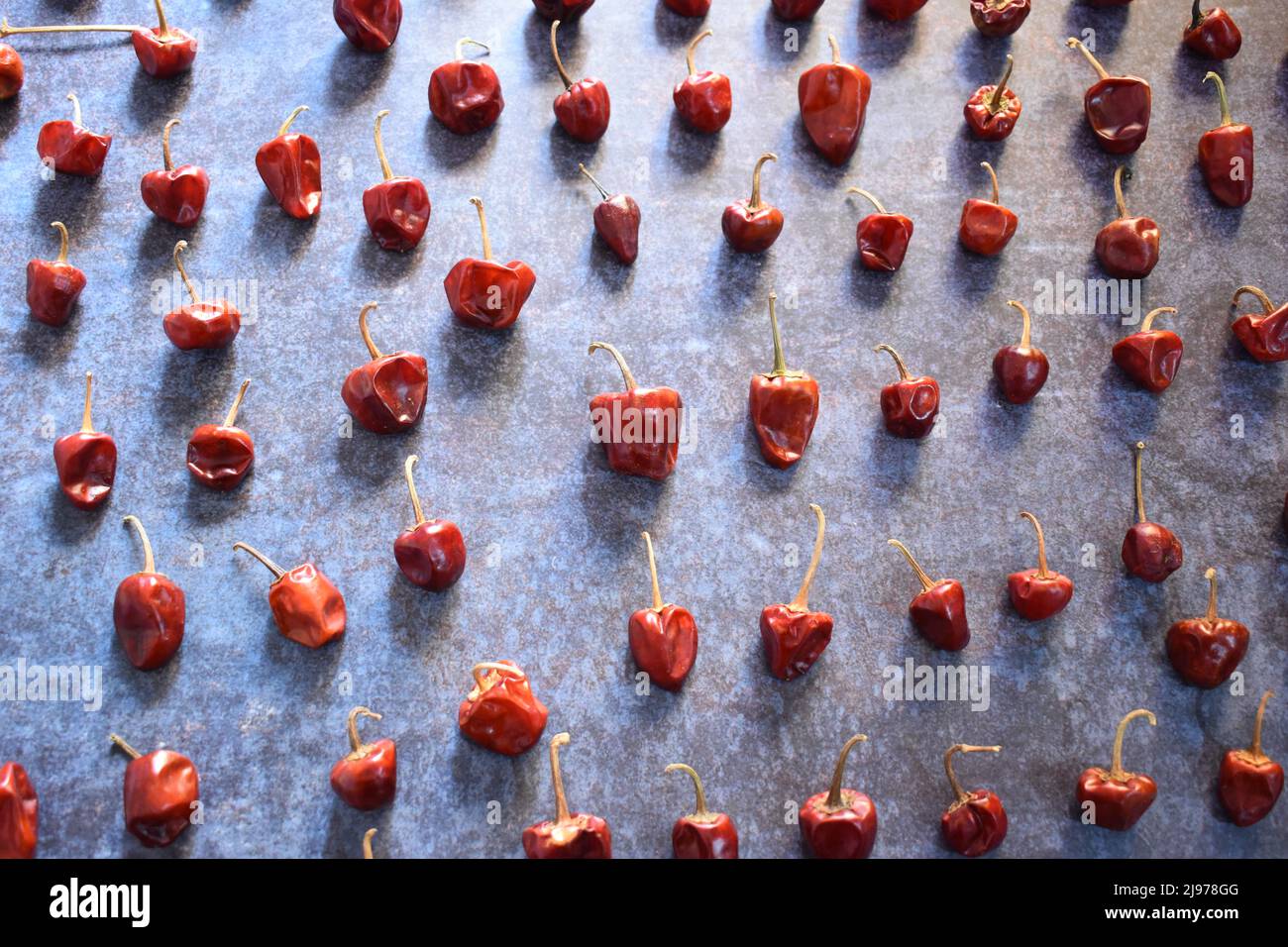 Red color raw whole dried round chili Stock Photo - Alamy
