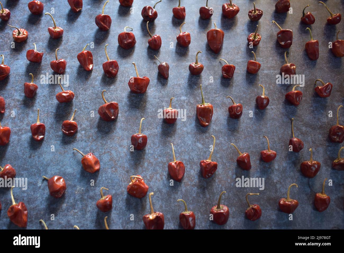 Red color raw whole dried round chili Stock Photo - Alamy