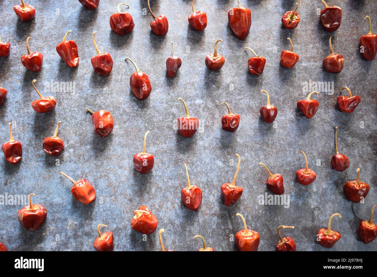 Red color raw whole dried round chili Stock Photo - Alamy