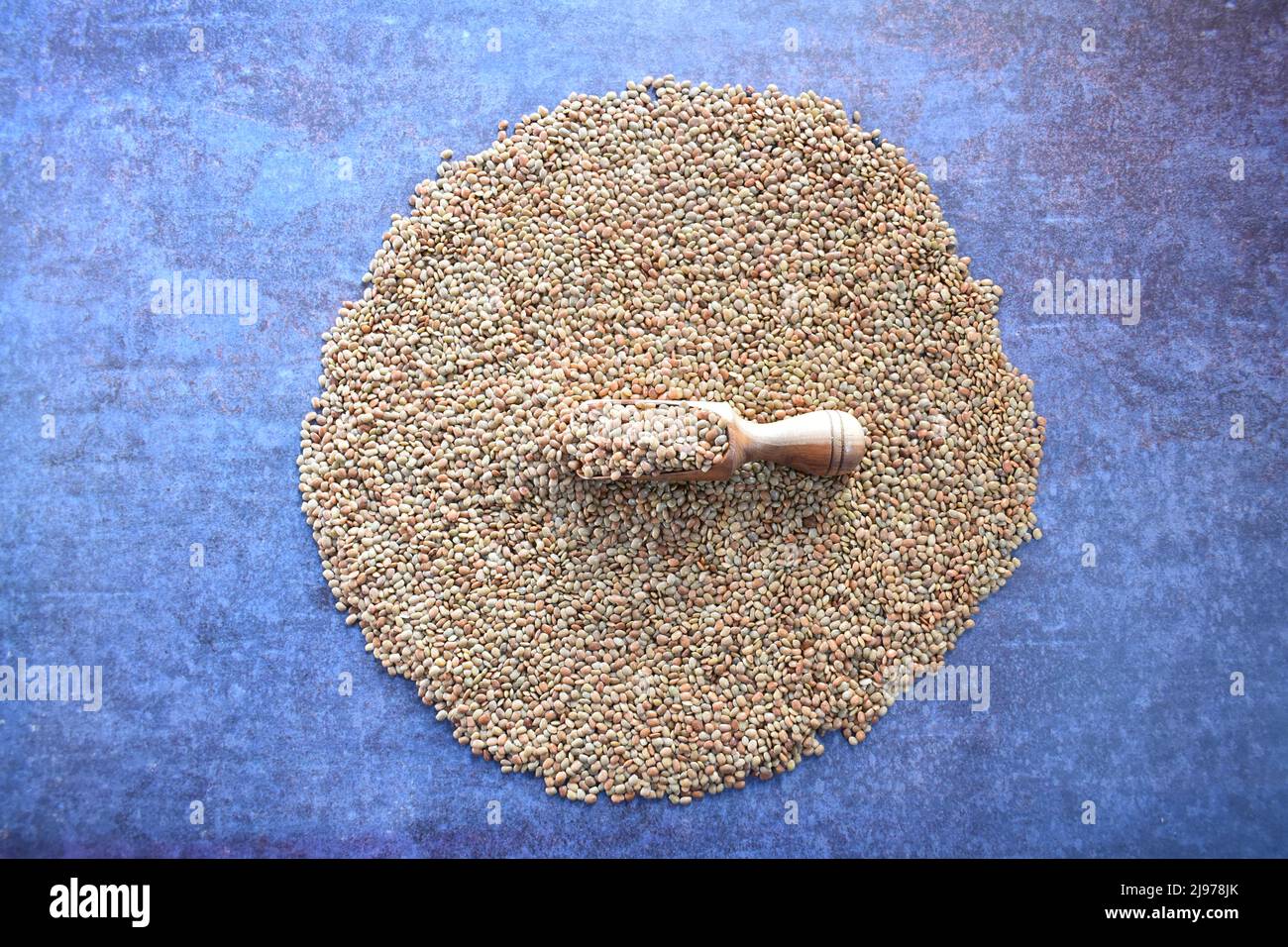 Raw whole dried Horse gram Stock Photo - Alamy