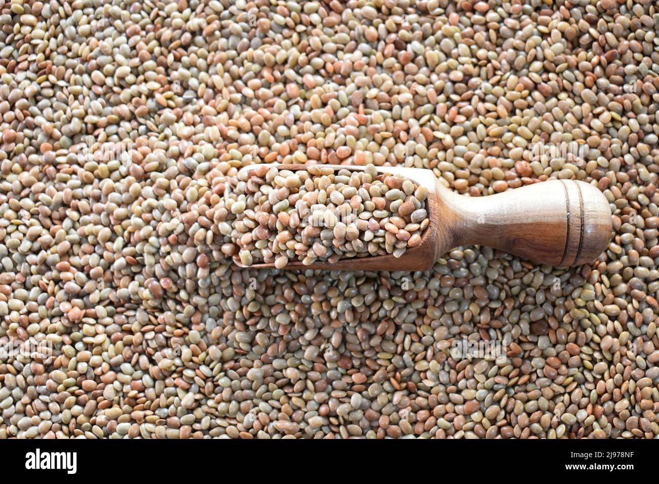 Raw whole dried Horse gram Stock Photo - Alamy