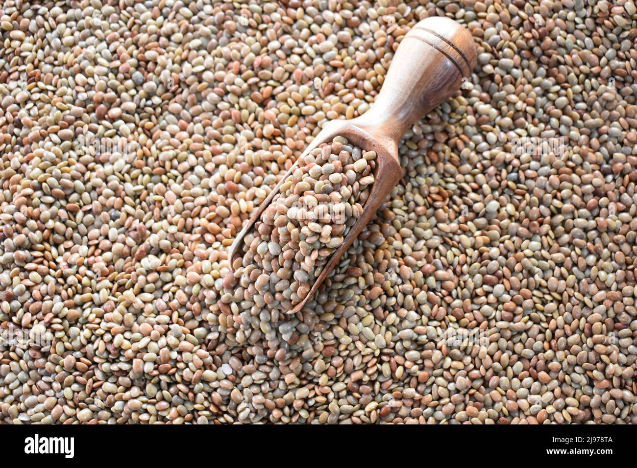 Raw whole dried Horse gram Stock Photo - Alamy