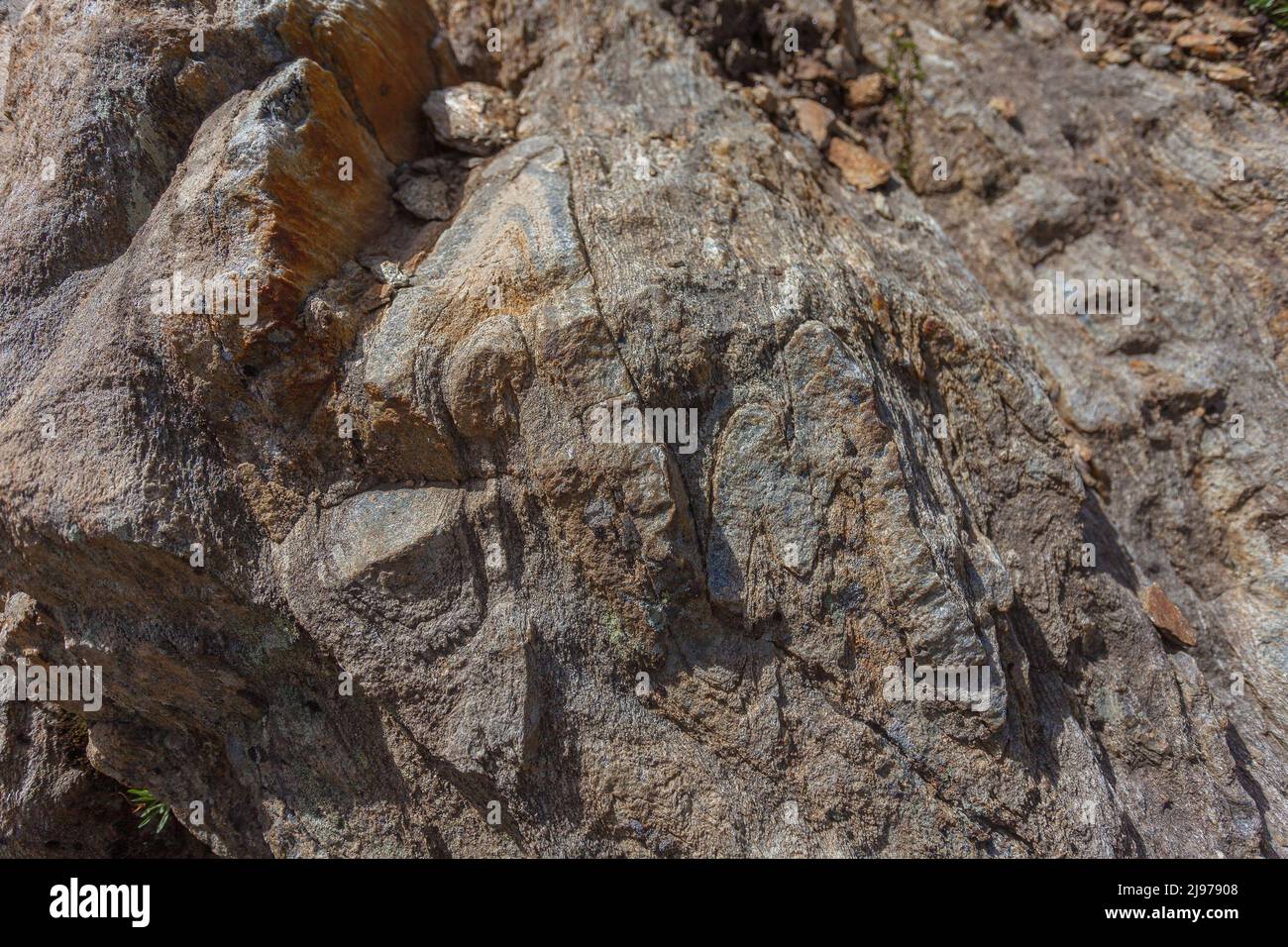 Curious geometry folds in metamorphic rocks of Otztal Crystalline ...