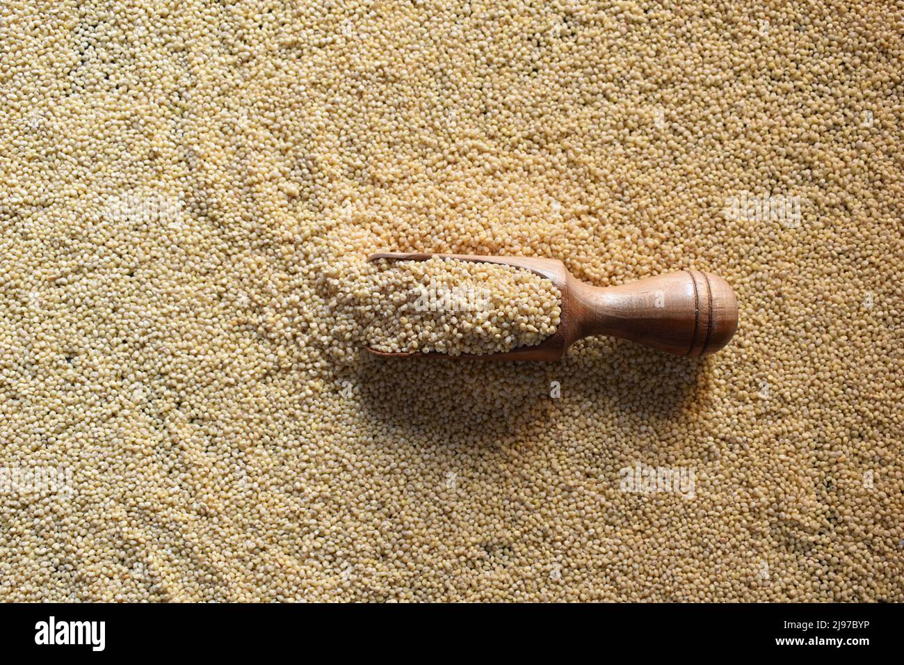 Raw whole dried Proso millet Stock Photo - Alamy