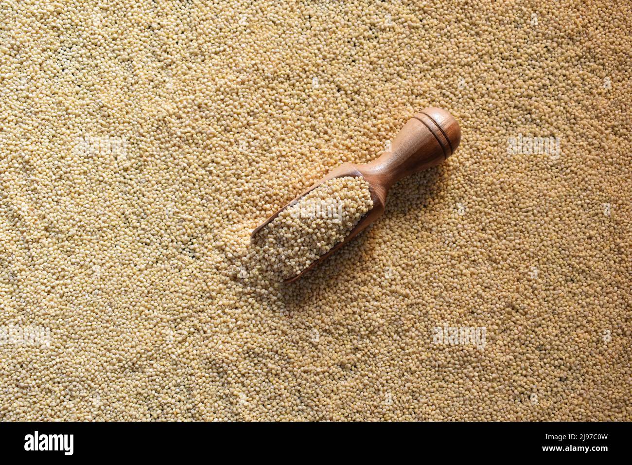 Raw whole dried Proso millet Stock Photo - Alamy
