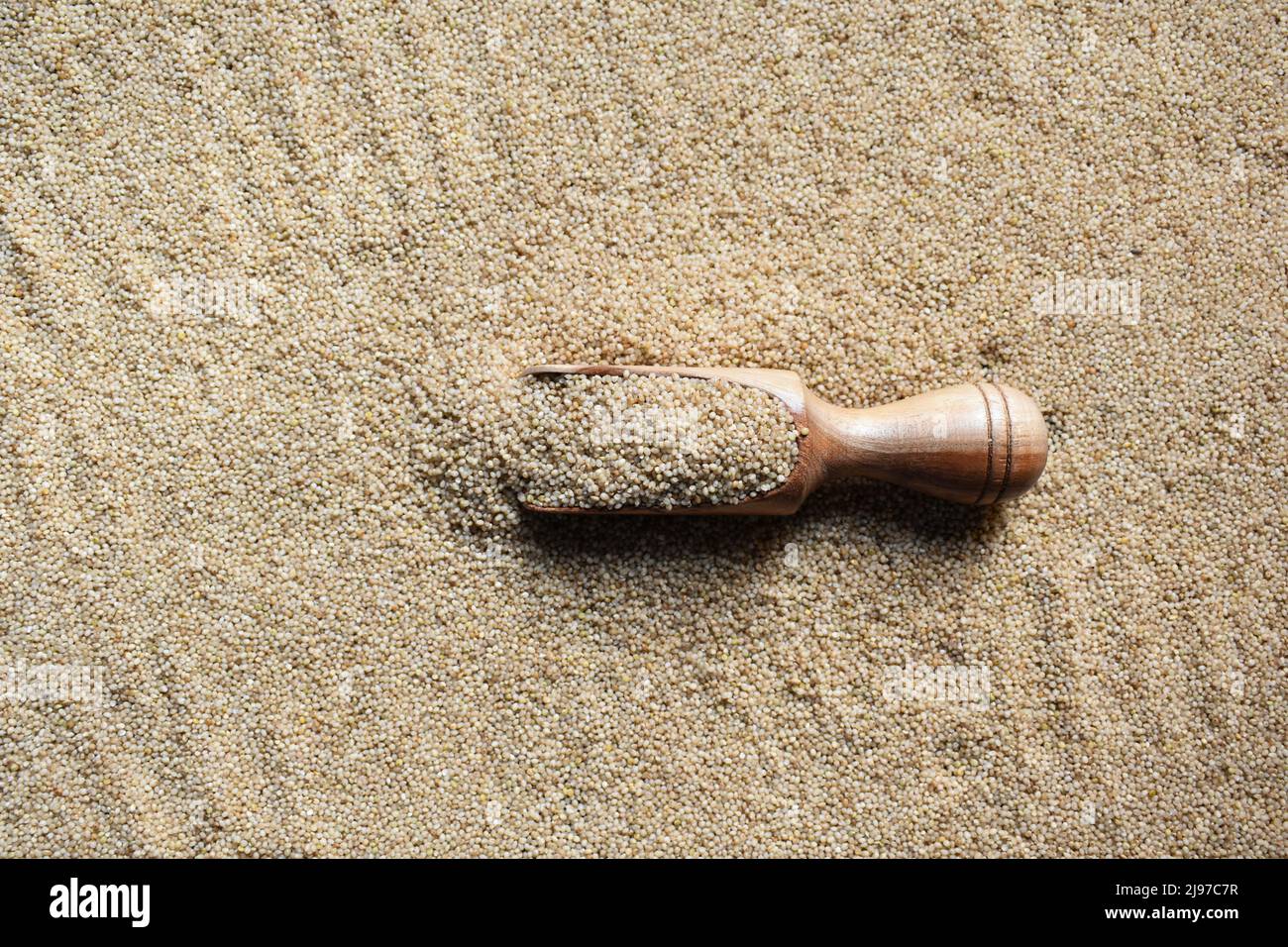 Raw whole dried little millet Stock Photo - Alamy