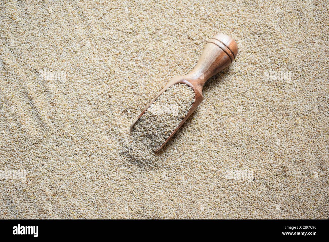 Little millet crop hi-res stock photography and images - Alamy