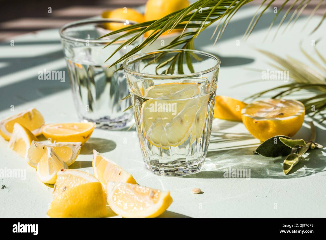 Gin tonic alcoholic cocktail drink with dry gin, bitter tonic, lemon ...