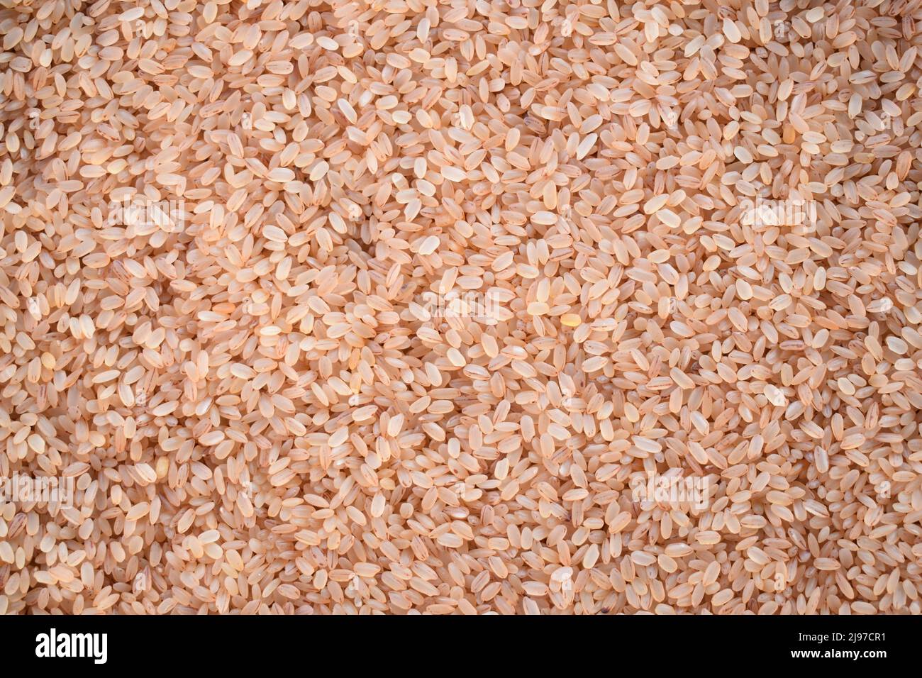 Raw whole dried Matta red parboiled rice Stock Photo - Alamy