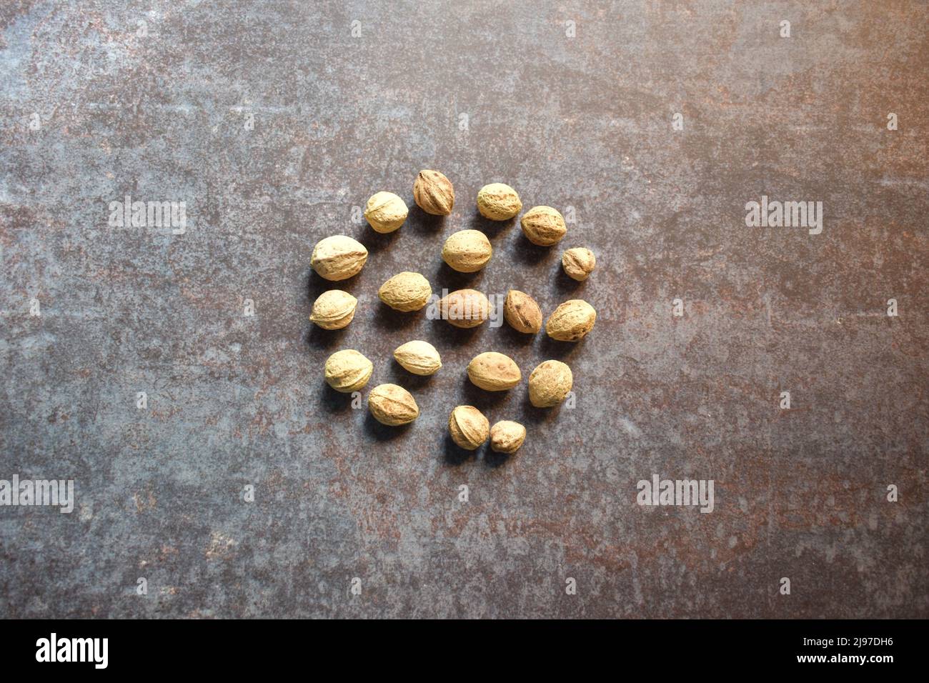 Terminalia seeds hi-res stock photography and images - Alamy