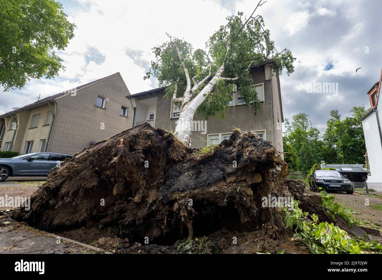 Hit the roof hi-res stock photography and images - Alamy