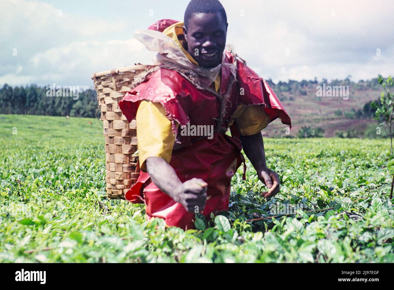 Malawian old man hi-res stock photography and images - Alamy
