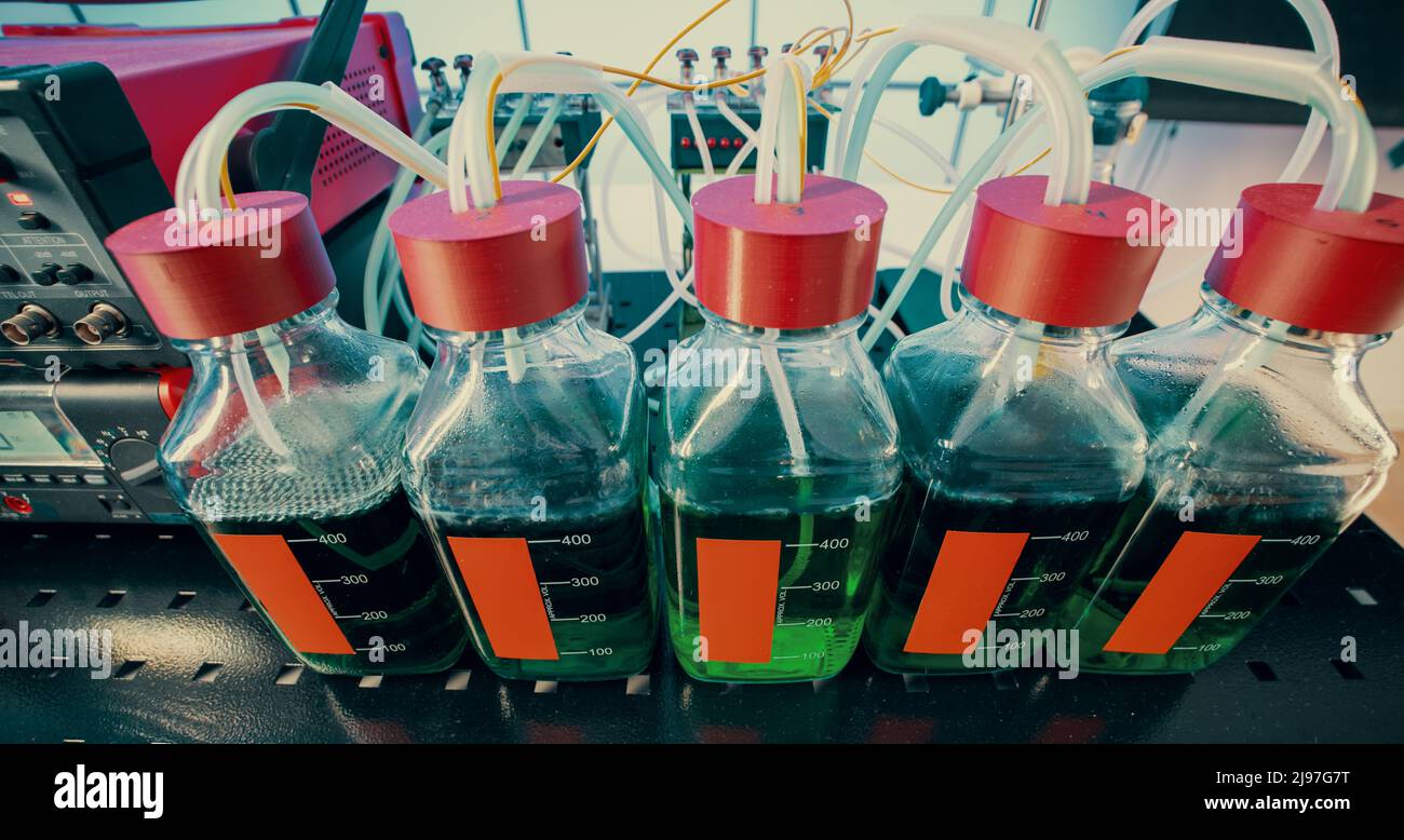 Experimental setup for enzymatic synthesis by genetically modified ...