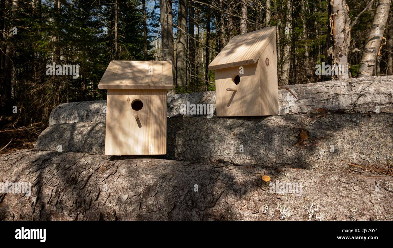 Authentic natural pine wood bird houses Stock Photo - Alamy