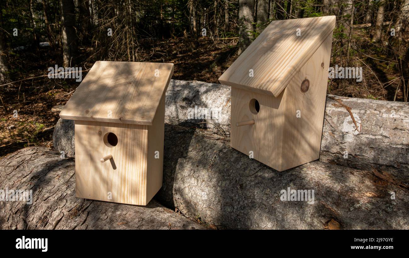 Authentic natural pine wood bird houses Stock Photo - Alamy