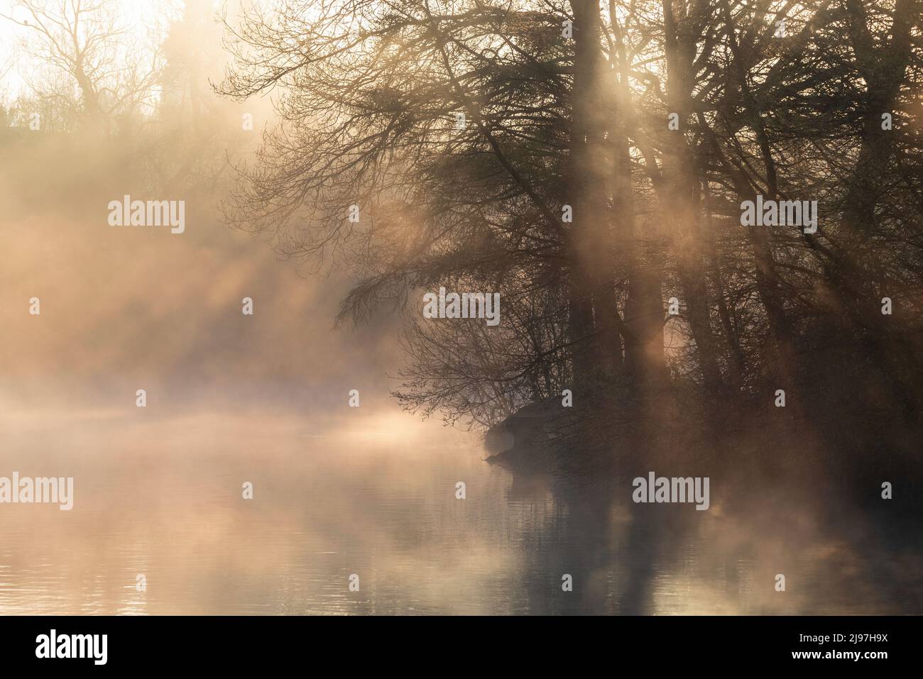 Stunning landscape image of sunrise mist on urban lake with sun beams ...