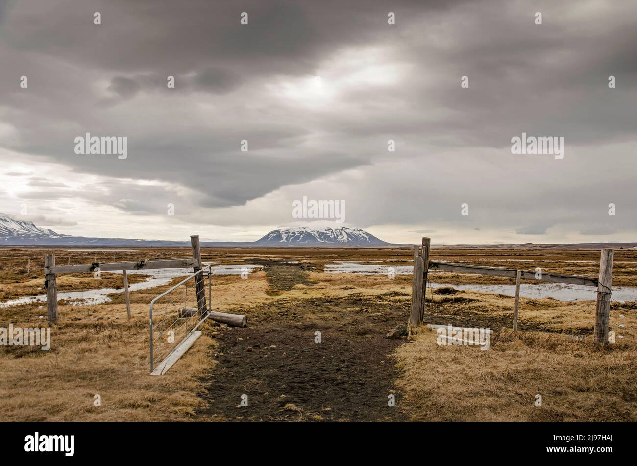 Haphazard wooden fence and iron gate in a watery landscape with shallow ...
