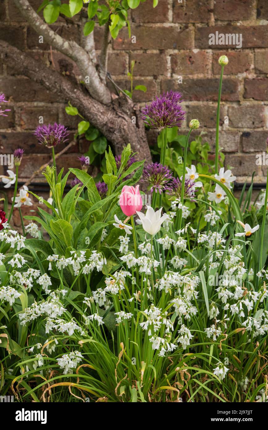 Beautiful quintessential English country garden landscape in Spring in ...