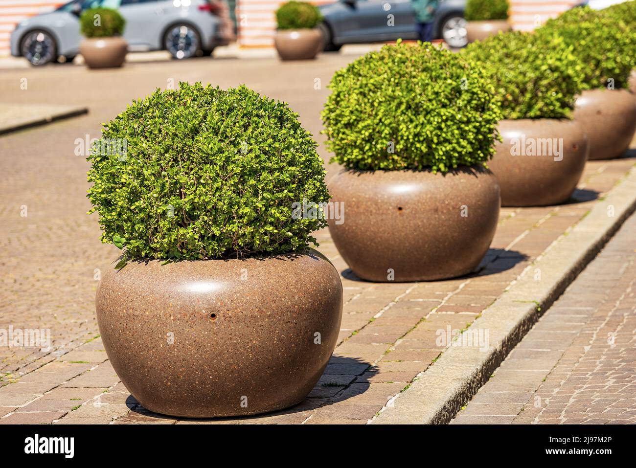 Modern garden large pots hi-res stock photography and images - Alamy