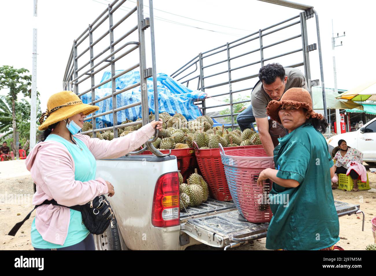 Lem letter hi-res stock photography and images - Alamy