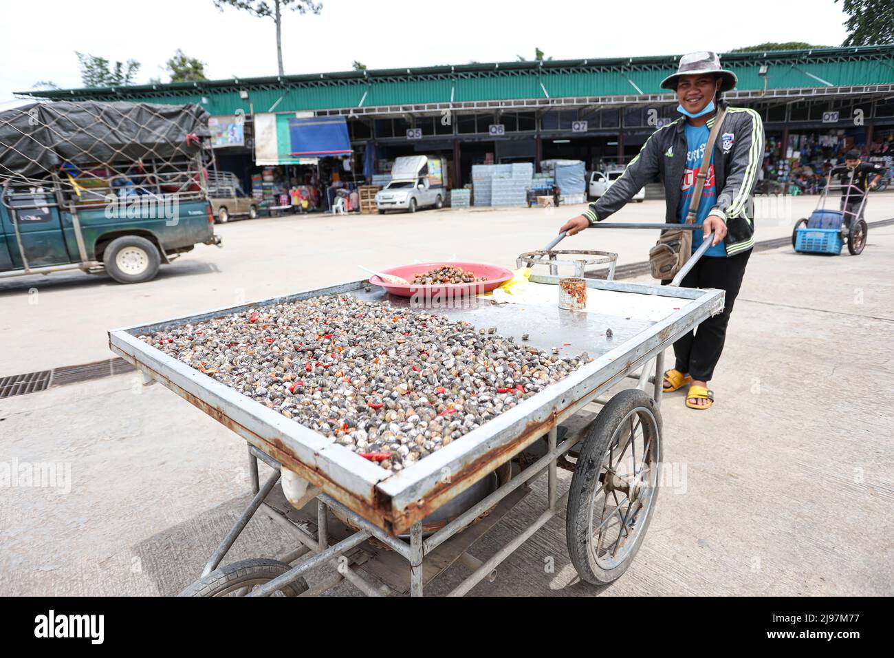 Daun lem hi-res stock photography and images - Alamy