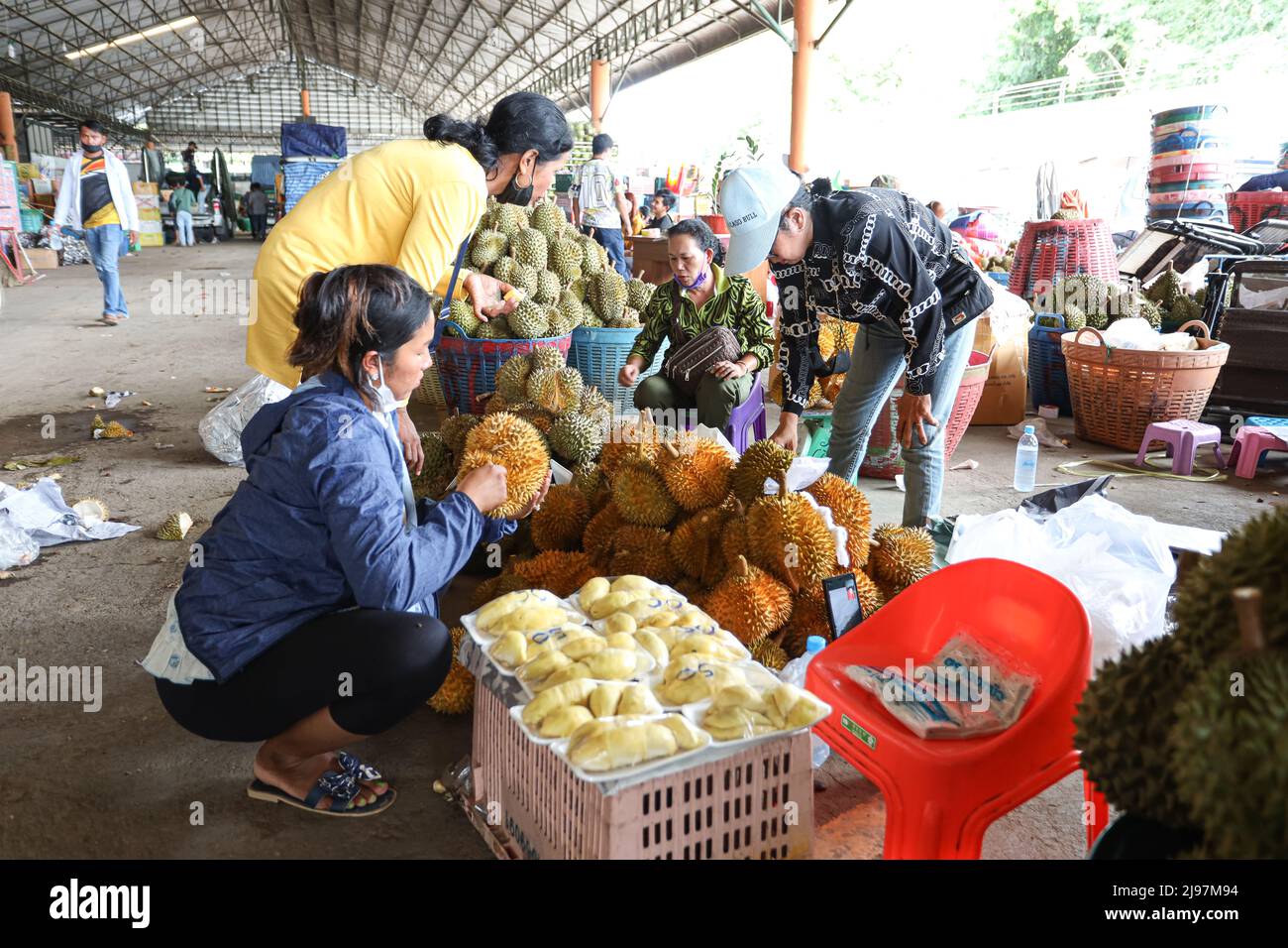 Daun lem hi-res stock photography and images - Alamy