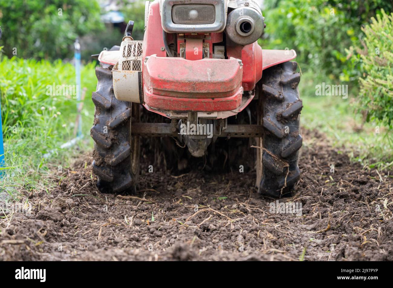 Two plow row crop tractor hi-res stock photography and images - Alamy
