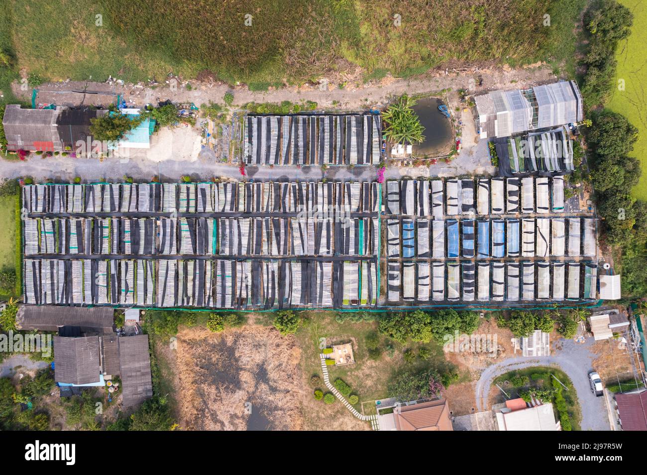 Top view of roof organic vegetable plot growing in greenhouse. Row of ...