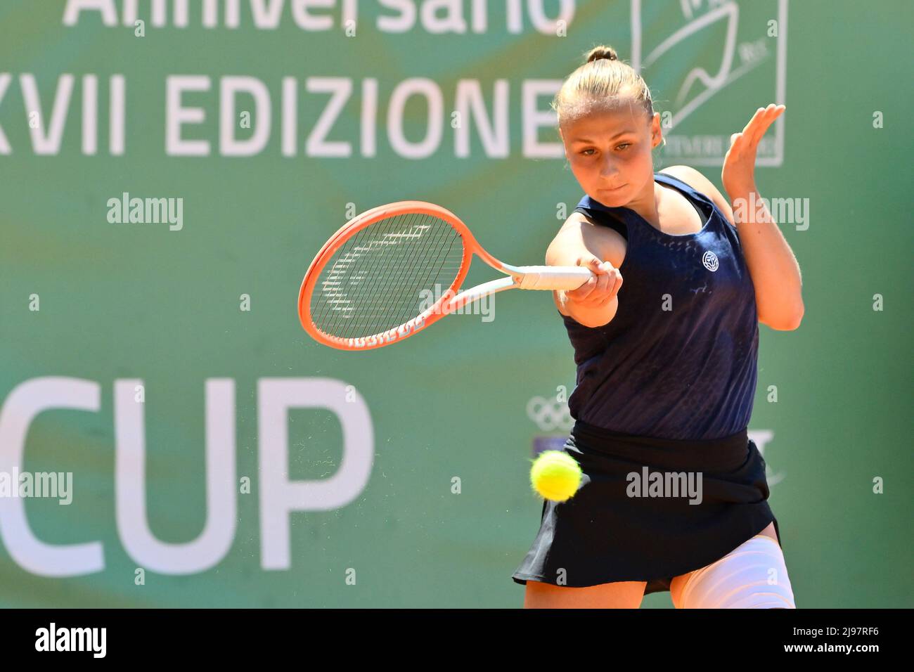 Darya Astakhova High Resolution Stock Photography and Images - Alamy