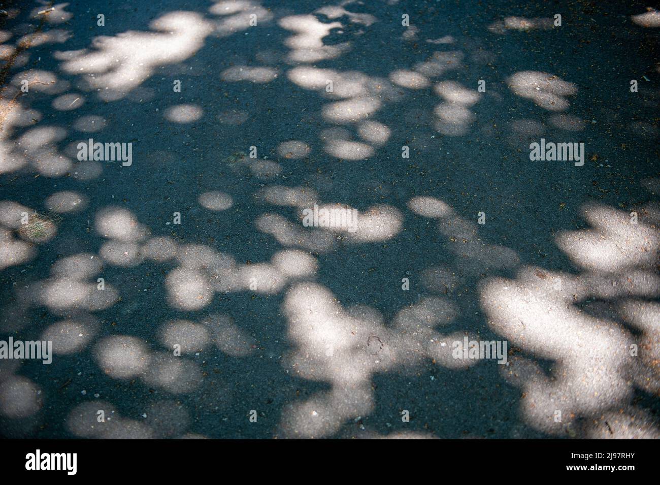 Dappled Shadows on concrete pavement Stock Photo - Alamy