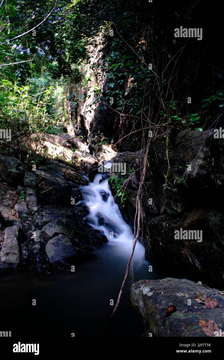 Water stream in sir Lanka Stock Photo - Alamy Water stream in sir Lanka Stock Photo - Alamy