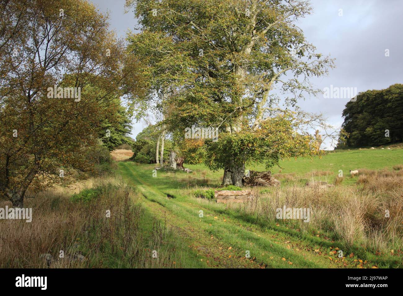 Dalmellington - Scotland Stock Photo - Alamy