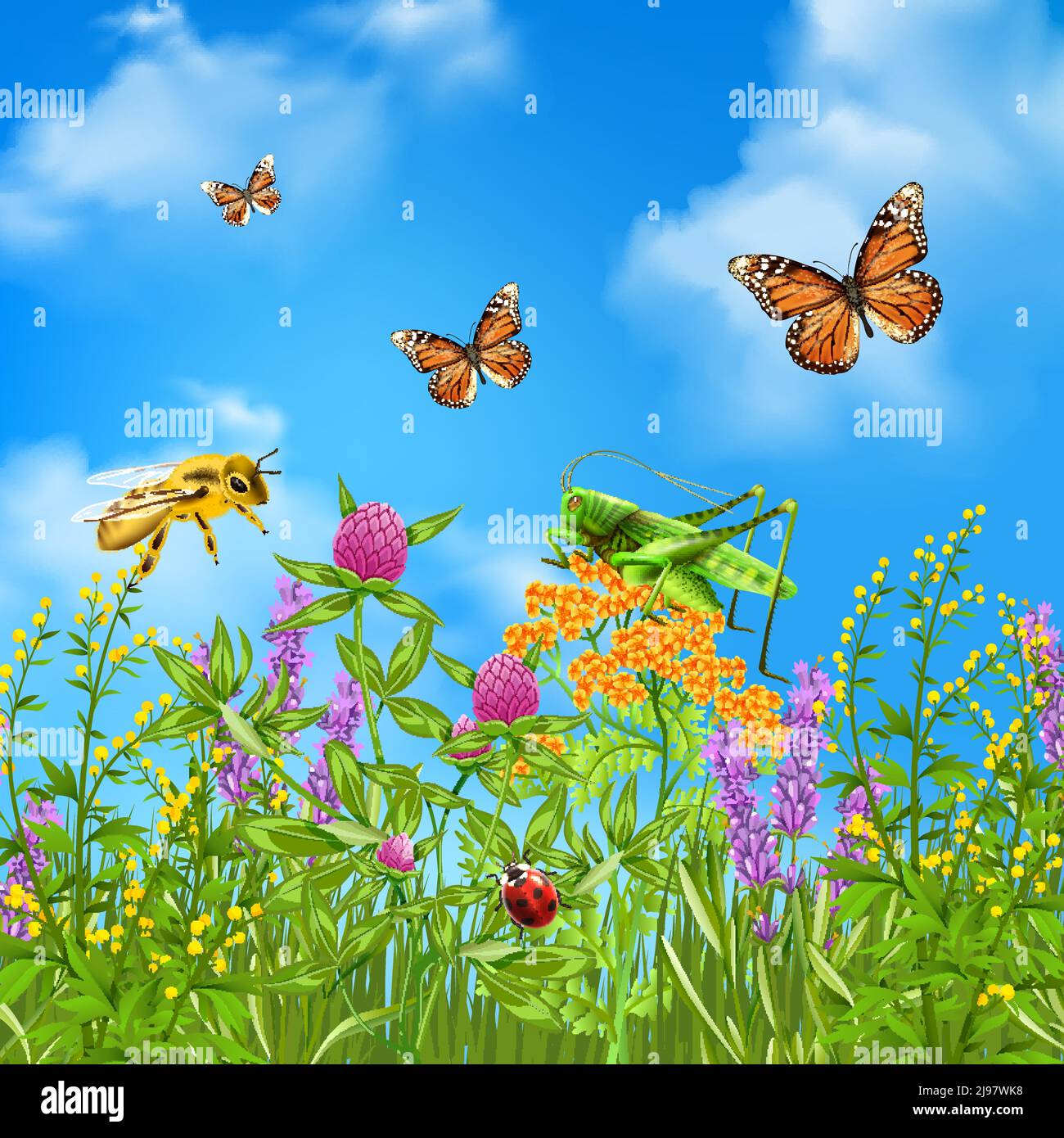 Insects in summer grass field realistic colorful composition with ...