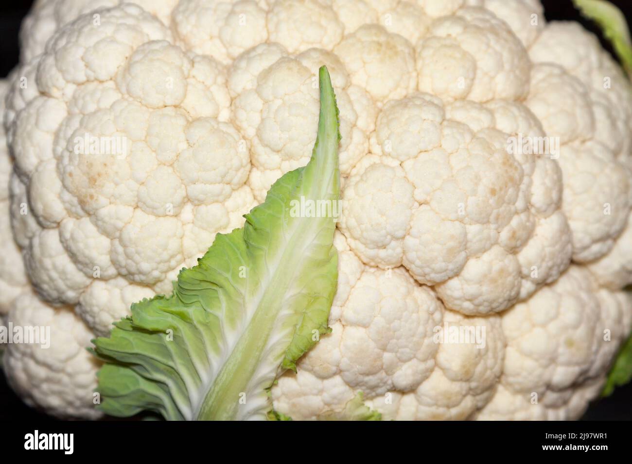 Cabbage cauliflower food aliment hi-res stock photography and images ...
