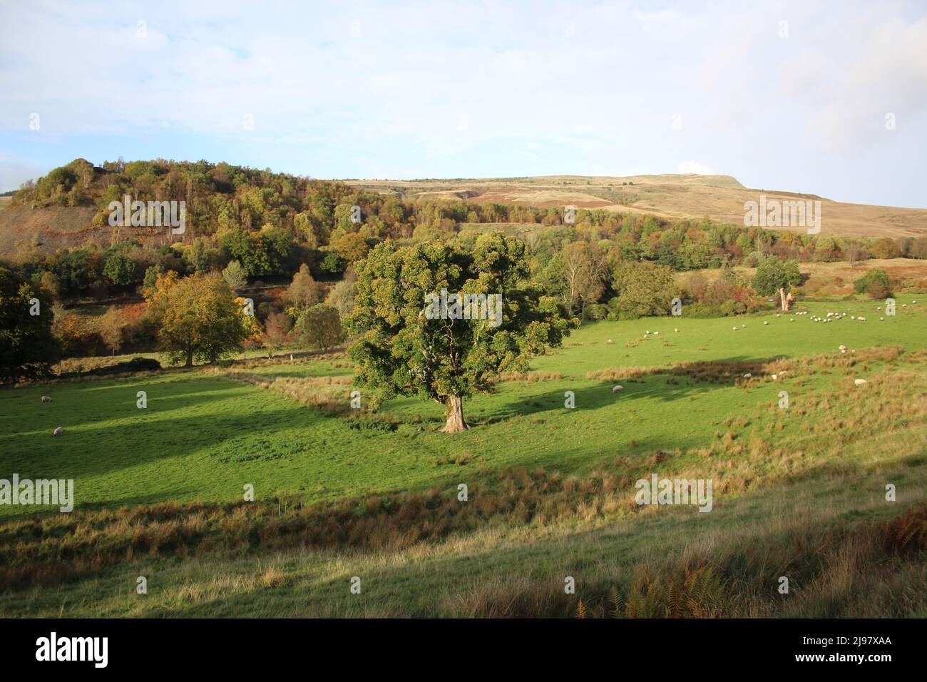 Dalmellington - Scotland Stock Photo - Alamy