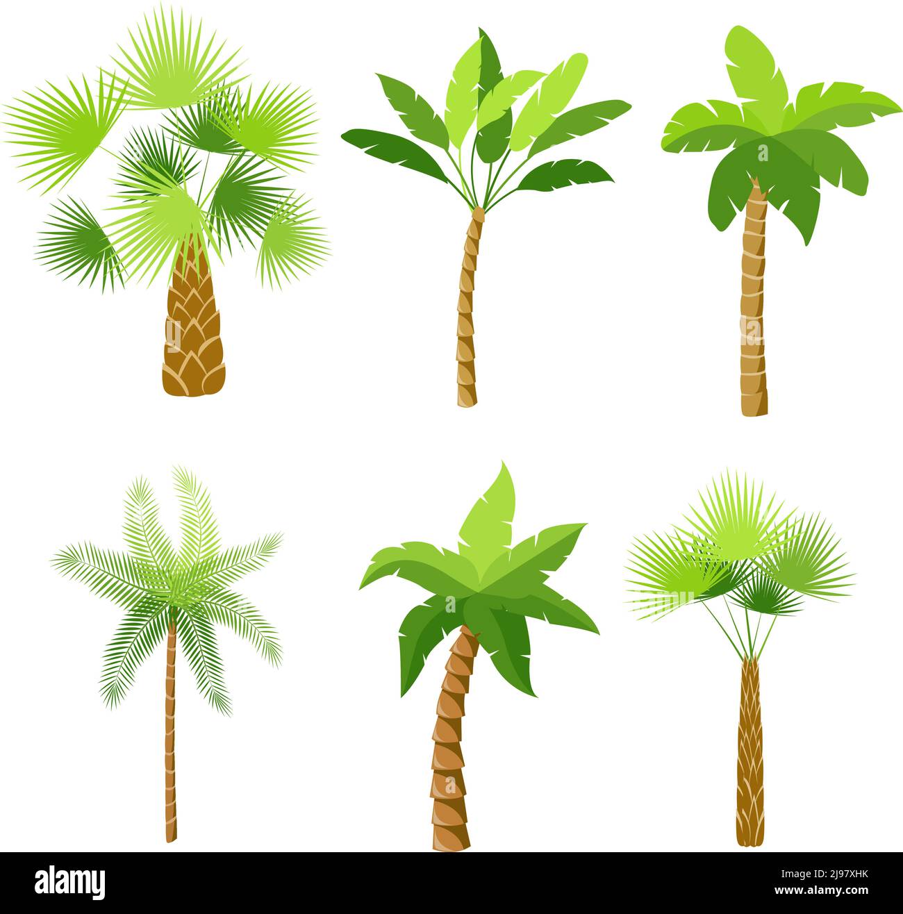 Decorative palm trees icons set isolated vector illustration Stock ...