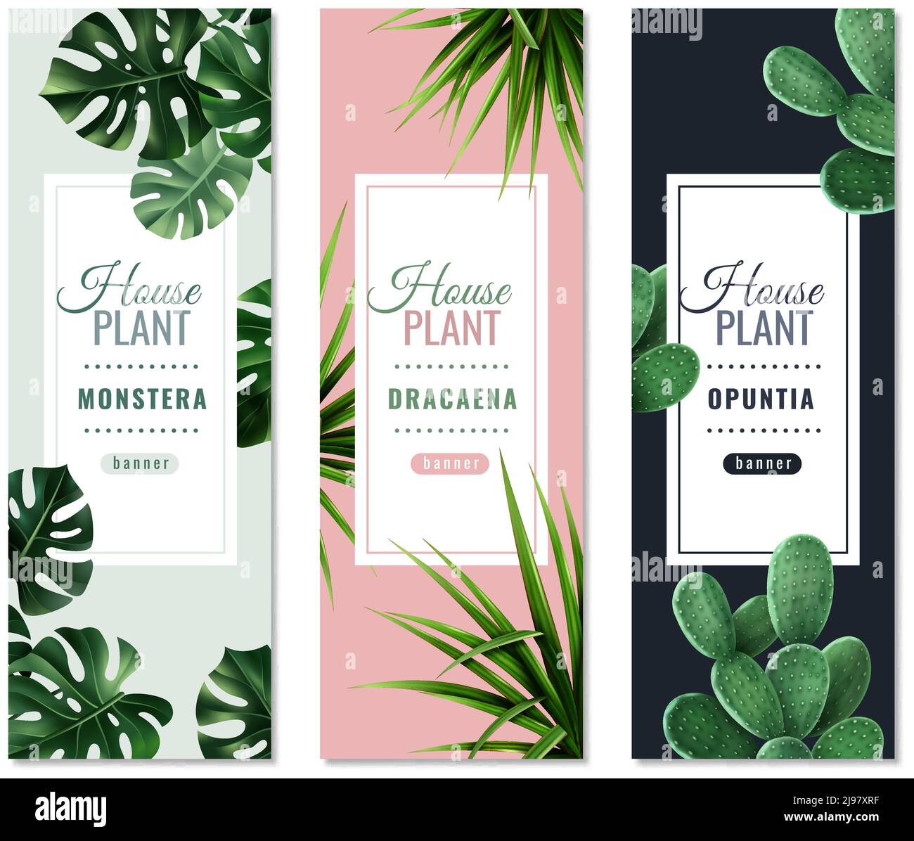 Realistic house plants vertical banners with monstera, dragon tree and ...