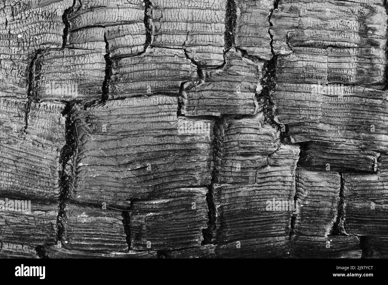 Gray background of a burnt charred wooden board Stock Photo - Alamy