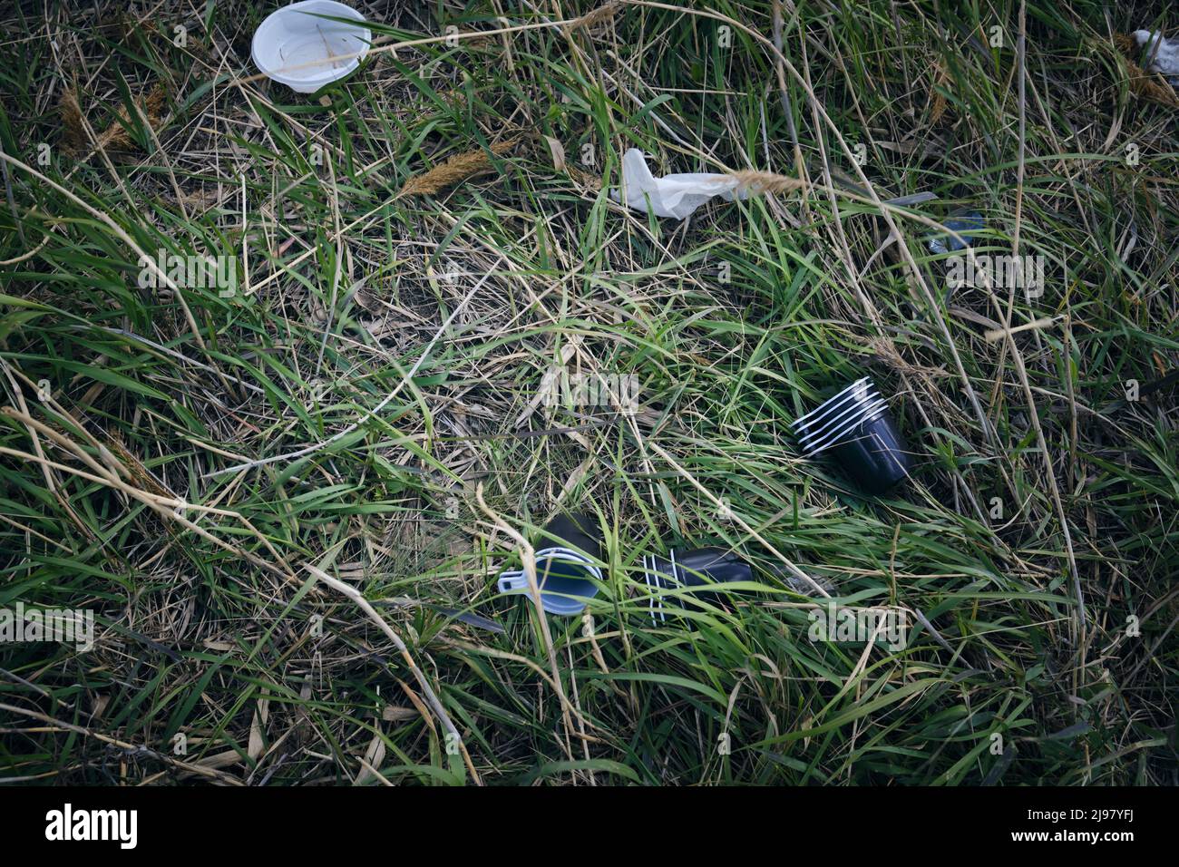Plastic garbage thrown out green lawn Stock Photo - Alamy