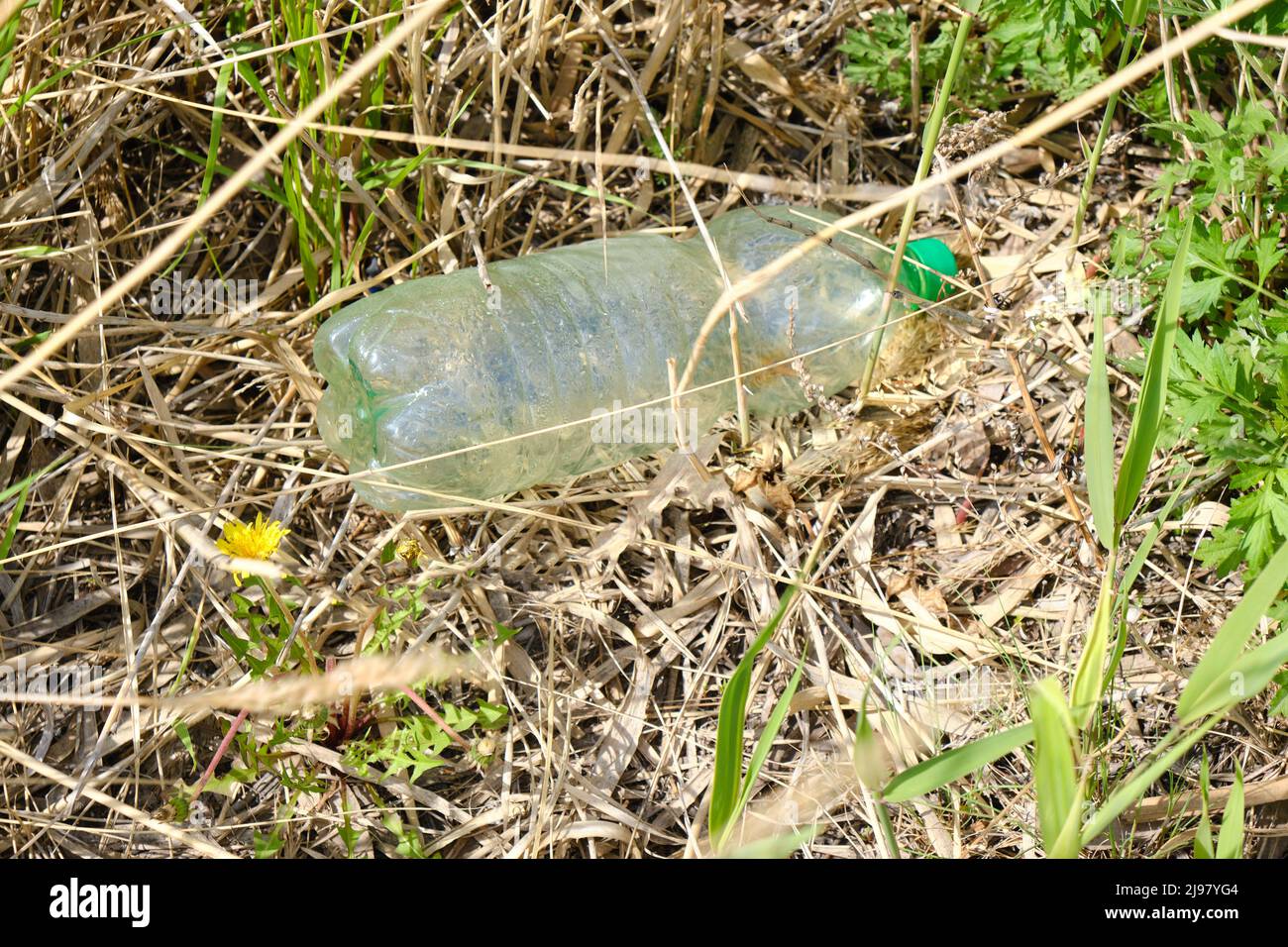 Discarded plastic bottle, ecology and environmental pollution Stock ...