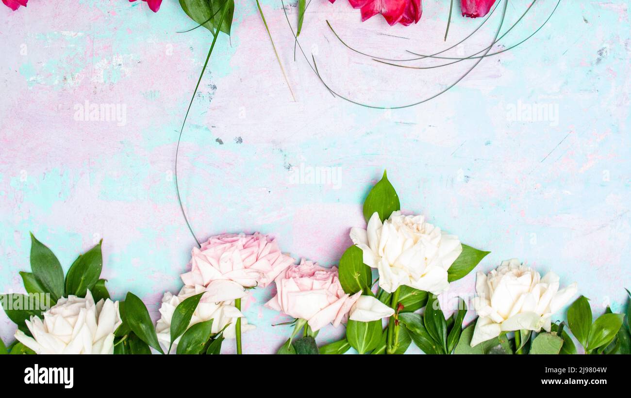 beautiful background with flowers . Spring summer border template ...