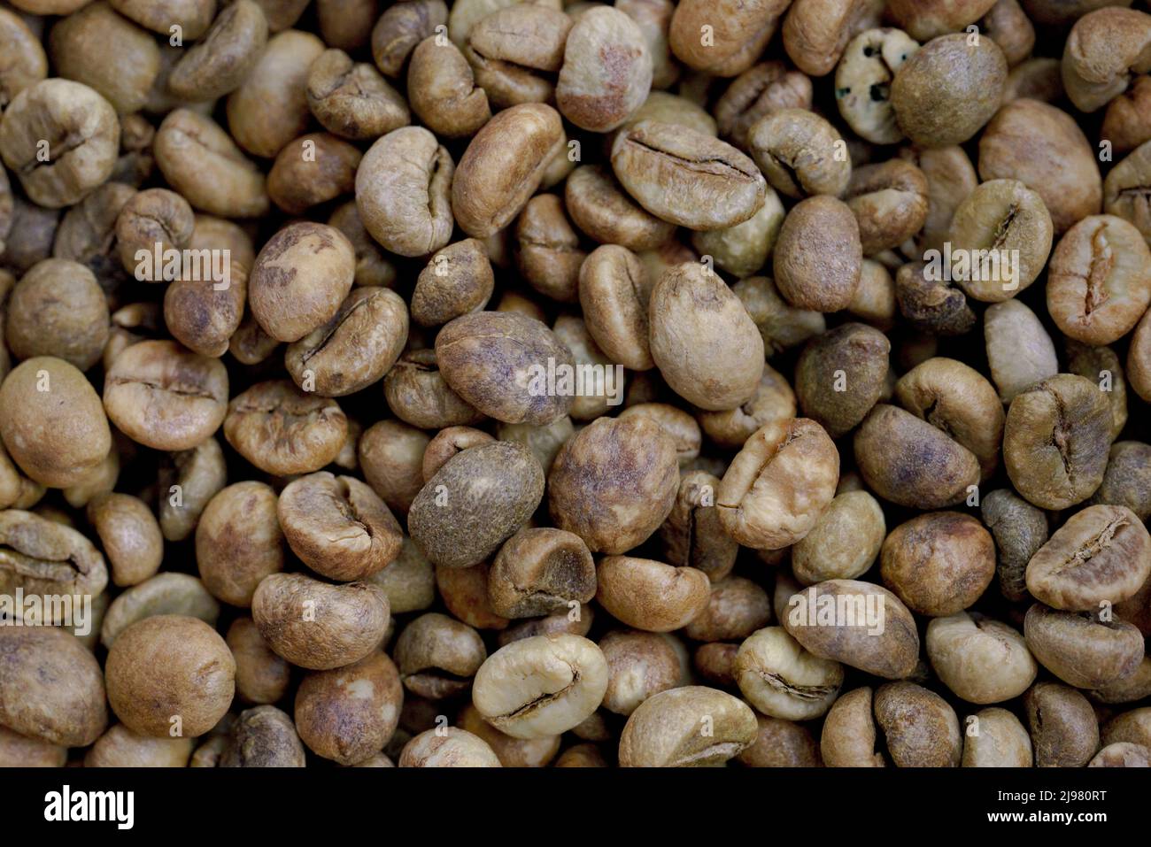 dry organic green bean coffee Stock Photo - Alamy