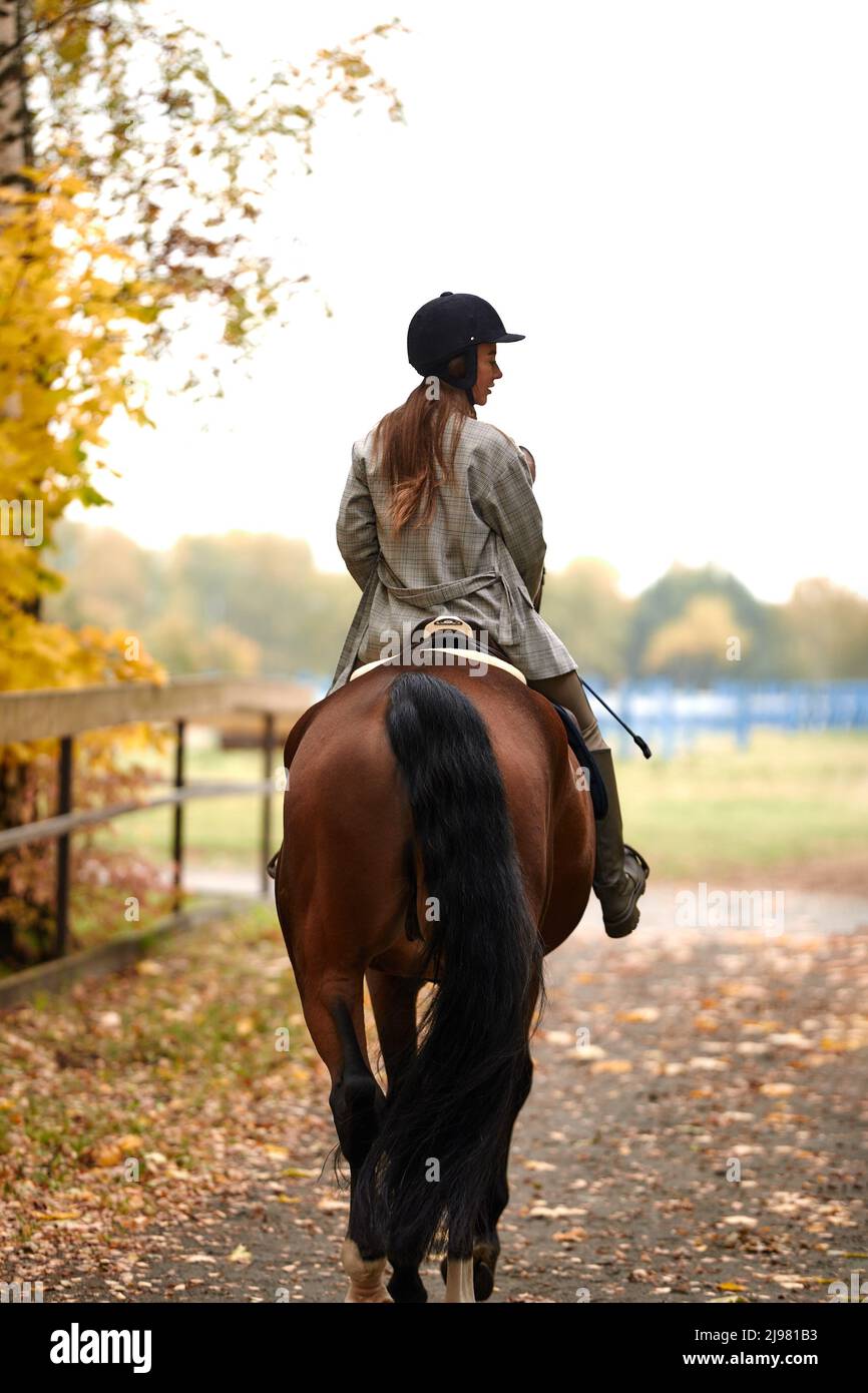 Rear view shot. Portrait of a pretty young woman with a brown horse ...
