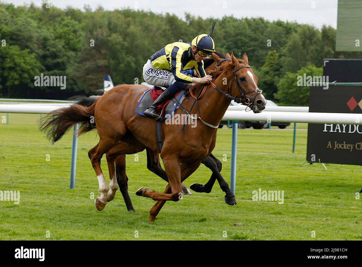 Whoputfiftyinyou riden by David Probert wins the Cazoo Silver Bowl ...
