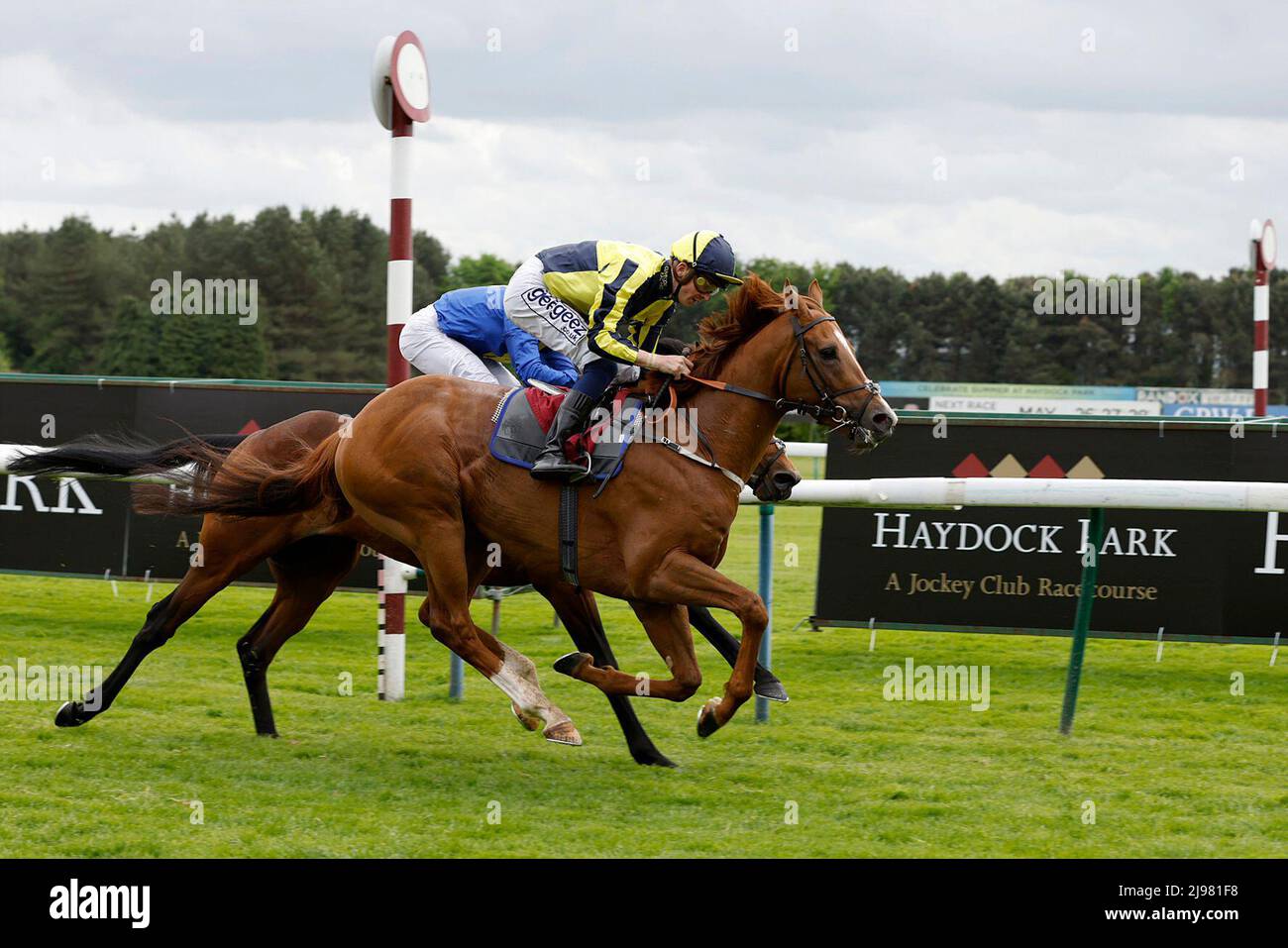 David probert 2022 hi-res stock photography and images - Alamy