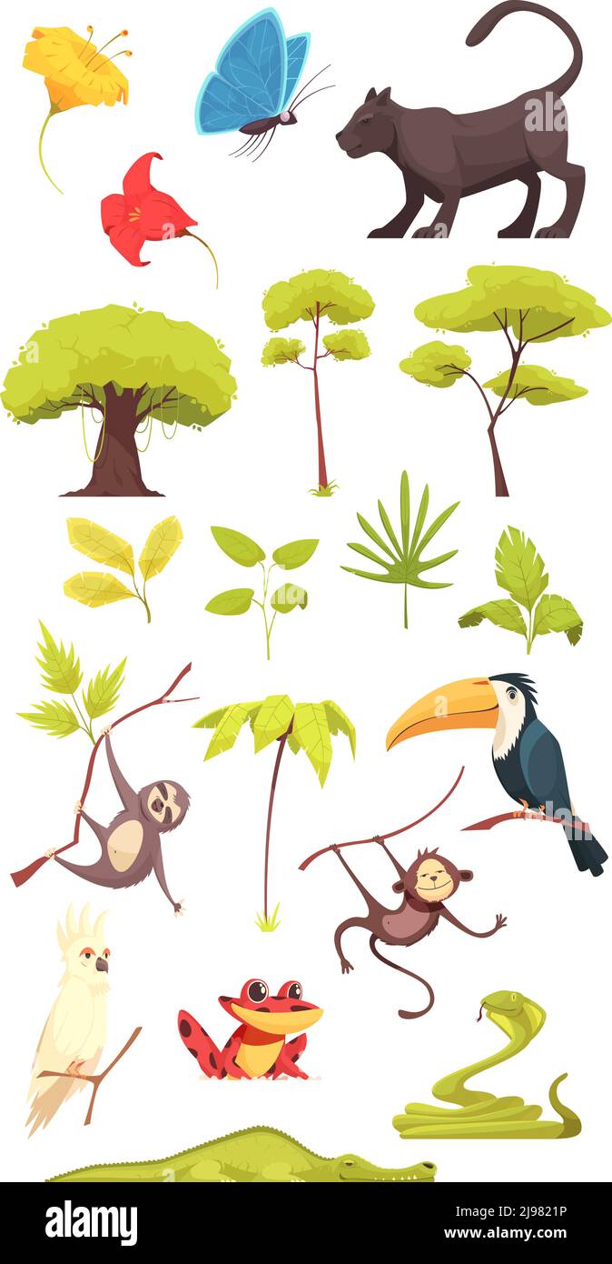 Rain forest jungle inhabitants flora fauna insects collection with ...