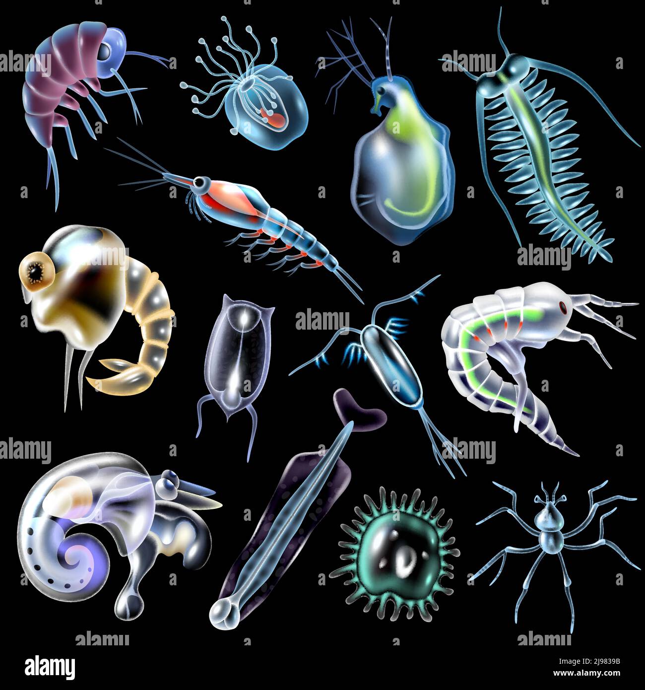 Copepod Clipart Of Flowers