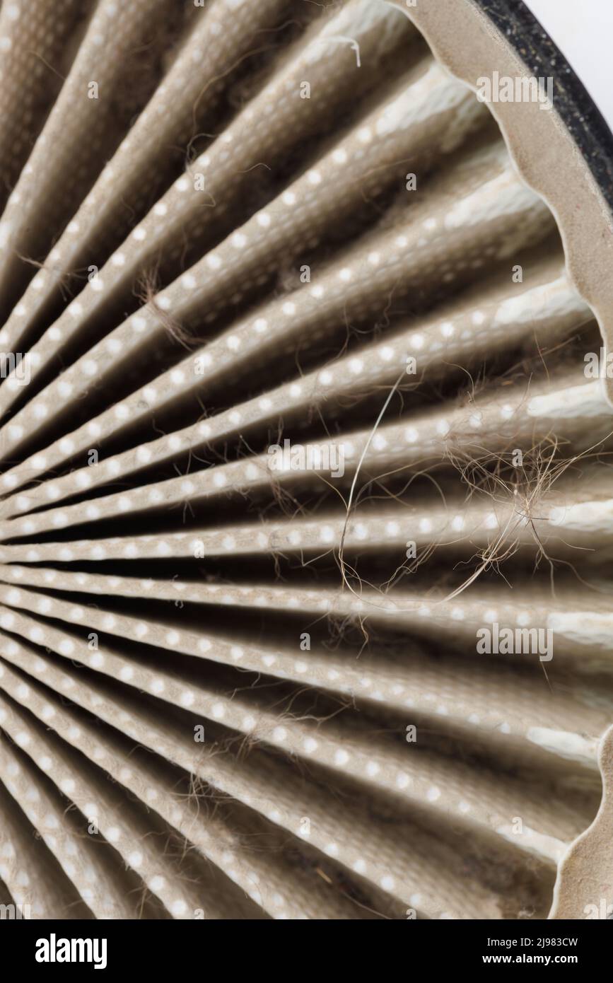 dust, hairs and fur on radial HEPA filter, close-up with selective ...