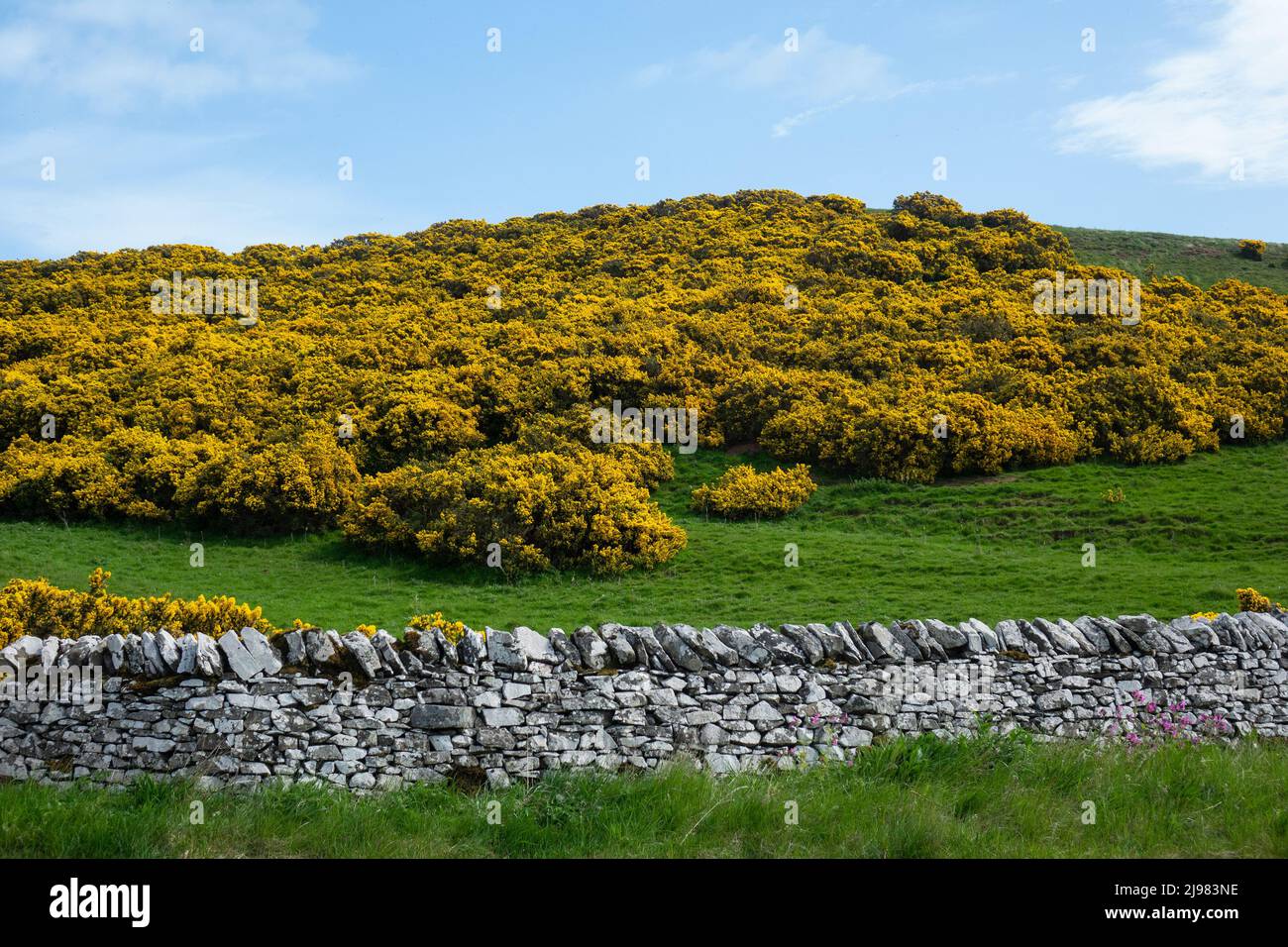 Bordesr hi-res stock photography and images - Alamy