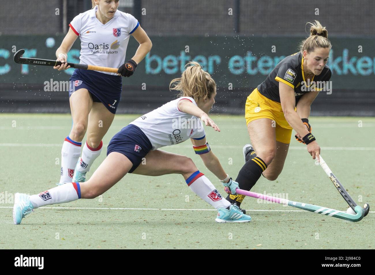 Pien sanders hi-res stock photography and images - Alamy